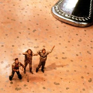 Jared Rushton - Rotten Tomatoes