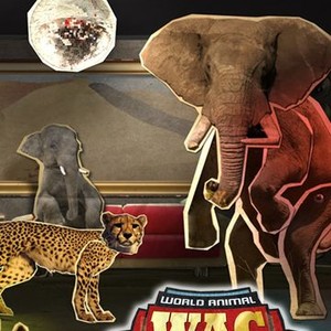 World Animal Championships: Season 1, Episode 6 - Rotten Tomatoes