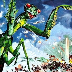 Giant Praying Mantis Movie
