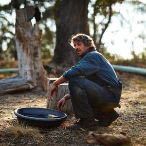 Don Hany - Rotten Tomatoes