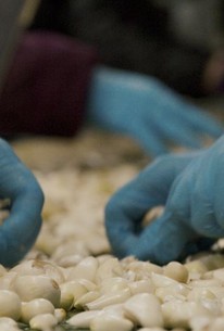 Rotten: Season 1, Episode 3 | Rotten Tomatoes