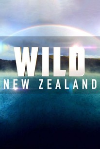 Wild New Zealand: Season 1 | Rotten Tomatoes