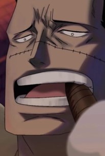 One Piece: Season 13, Episode 25 | Rotten Tomatoes