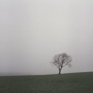 Sleep Furiously - Rotten Tomatoes