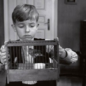 The White Ribbon - Rotten Tomatoes