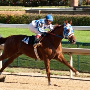 Secretariat - Rotten Tomatoes