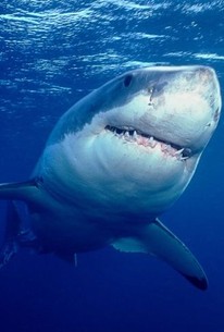 Man v. Animal: Season 1, Episode 1 | Rotten Tomatoes