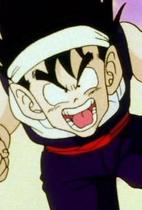 Dragon Ball Z: Season 1, Episode 27 | Rotten Tomatoes