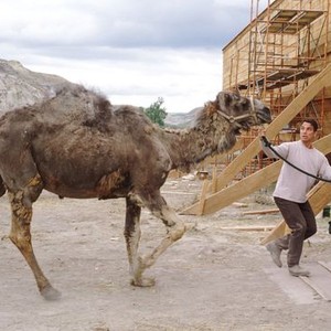 Noah - Rotten Tomatoes