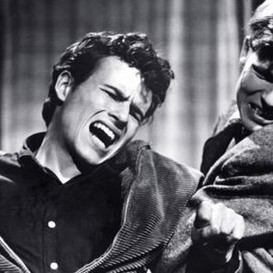 Teenage Wolfpack - Rotten Tomatoes