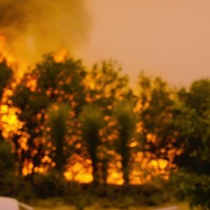 Fire Chasers - Rotten Tomatoes