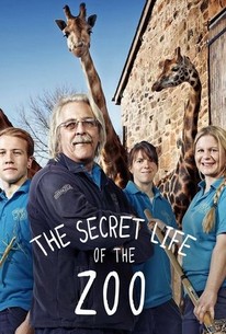 The Secret Life of the Zoo: Season 3, Episode 1 | Rotten Tomatoes