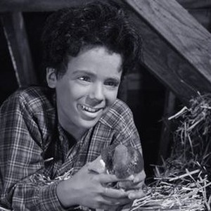 The Tin Star - Rotten Tomatoes