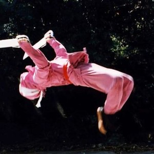 The Ninja Showdown - Rotten Tomatoes