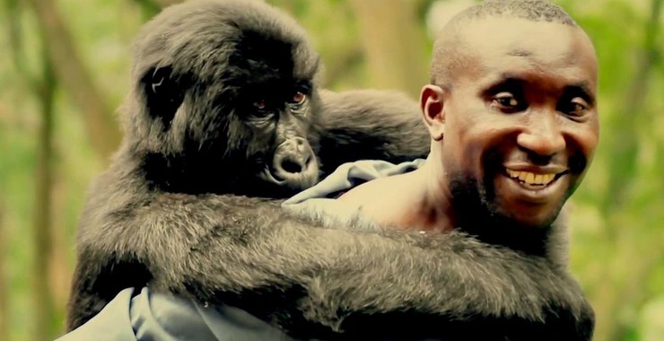 Virunga - Rotten Tomatoes