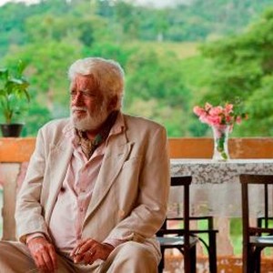 The Invisible Collection - Rotten Tomatoes