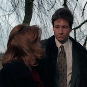 The X-Files: Season 2, Episode 15 - Rotten Tomatoes