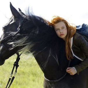 Windstorm - Rotten Tomatoes