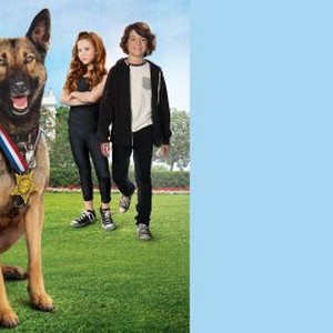 Max 2: White House Hero - Rotten Tomatoes