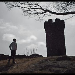 The Word - Rotten Tomatoes