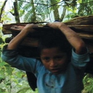 The Inheritors - Rotten Tomatoes