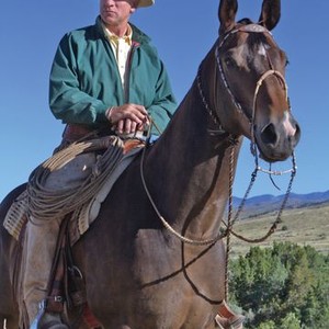 Buck - Rotten Tomatoes