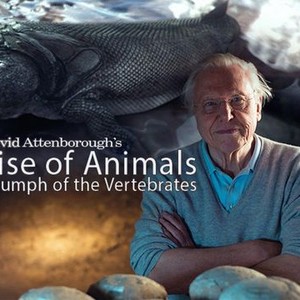 David Attenborough's Rise of Animals: Triumph of the Vertebrates ...