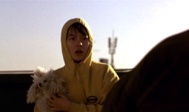 Barking Dogs Never Bite - Trailers & Videos | Rotten Tomatoes