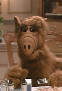 ALF: Season 1, Episode 11 | Rotten Tomatoes