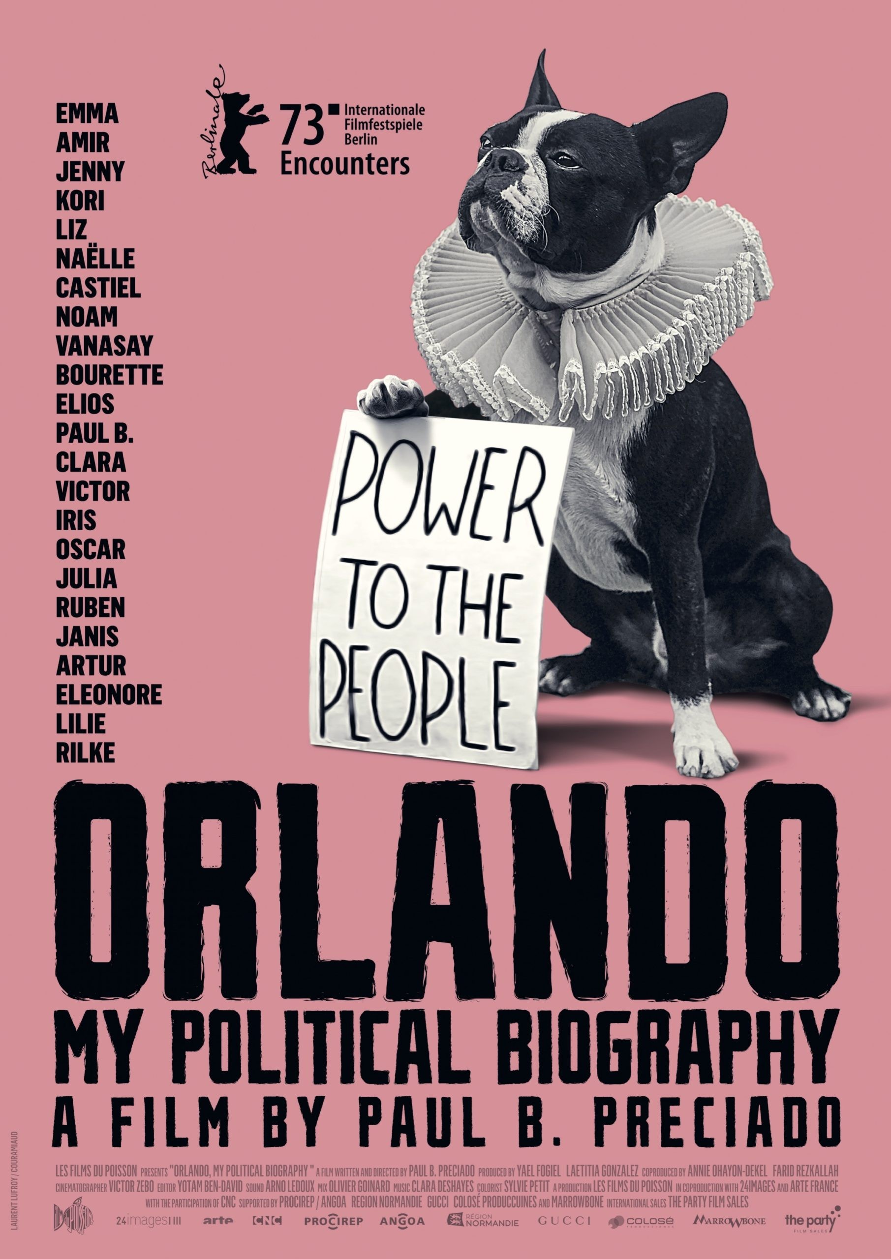 Orlando, My Political Biography - Rotten Tomatoes