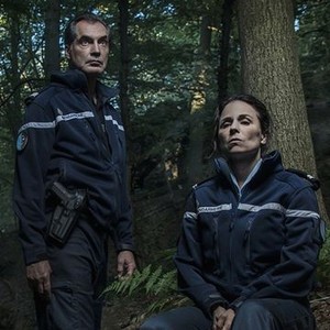 The Forest - Rotten Tomatoes