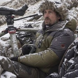 The Velvet Queen - Rotten Tomatoes