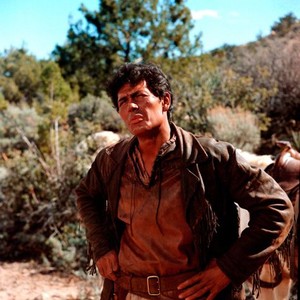 Robert Forster Reflections In A Golden Eye