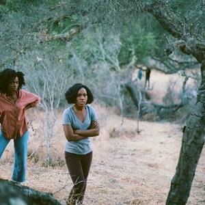 The Weekend - Rotten Tomatoes