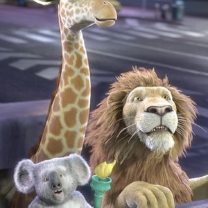 The Wild - Rotten Tomatoes