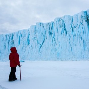 Antarctica: A Year on Ice (2014) - Rotten Tomatoes