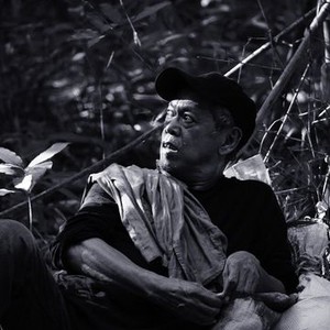 Genus, Pan - Rotten Tomatoes