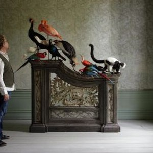 Stuffed - Rotten Tomatoes