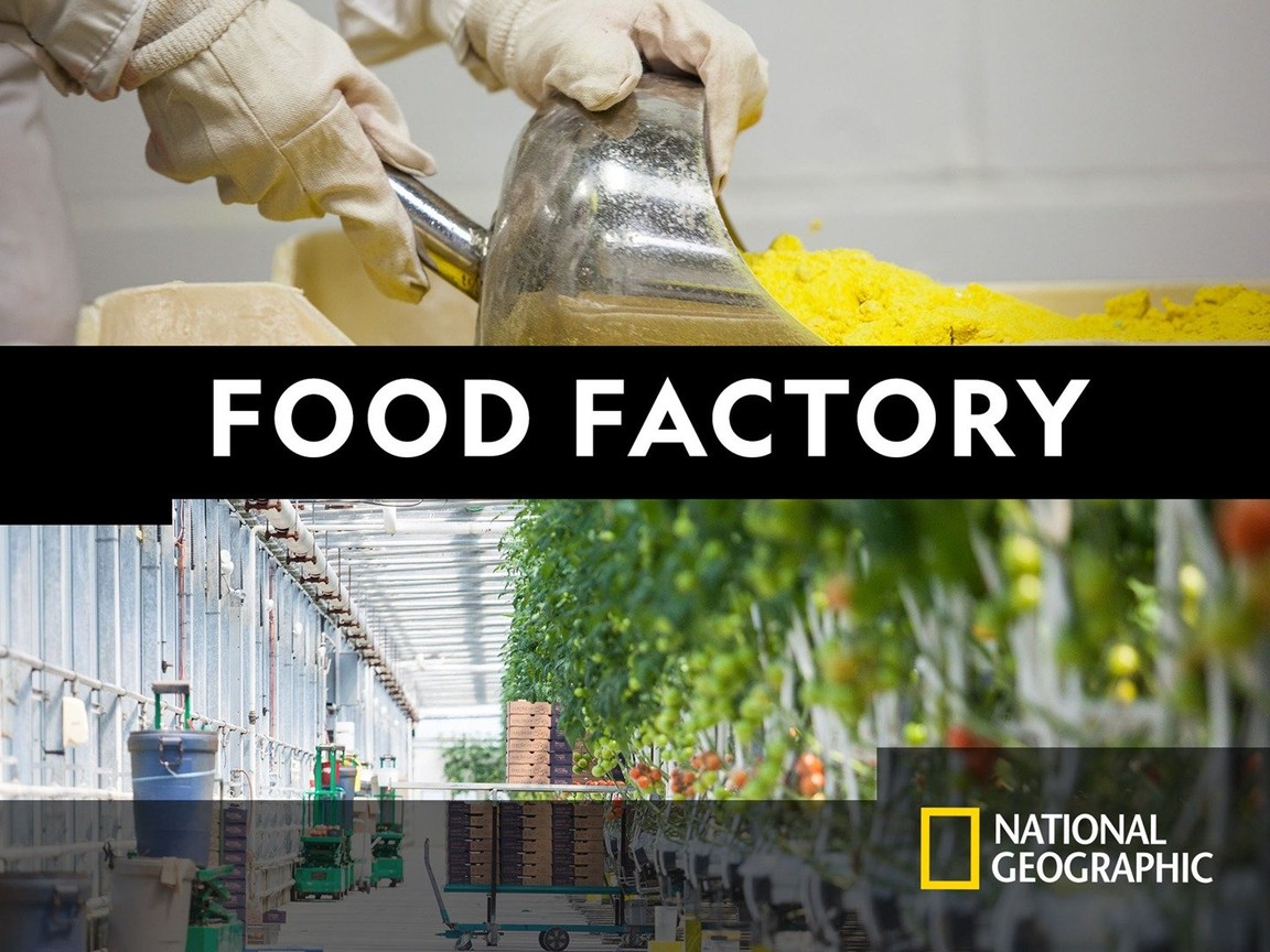 Food Factory Tv Show