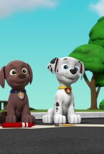 PAW Patrol: Season 9, Episode 22 - Rotten Tomatoes