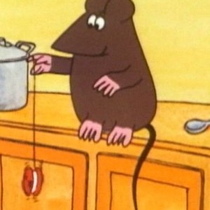 Fourteen Rats & a Rat-Catcher - Rotten Tomatoes