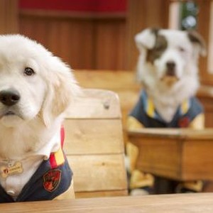 Pup Academy: Season 1, Episode 19 - Rotten Tomatoes