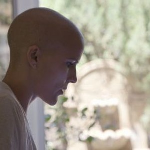 Saving Capitalism - Rotten Tomatoes