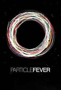Particle Fever | Rotten Tomatoes