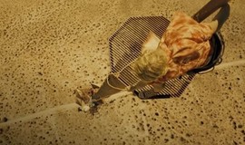 Fall - Rotten Tomatoes