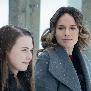 Sinister Switch - Rotten Tomatoes