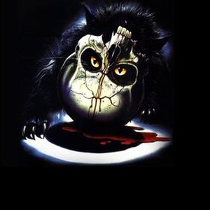 Strays - Rotten Tomatoes