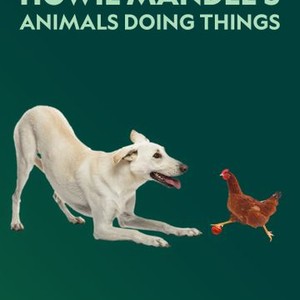 Howie Mandel's Animals Doing Things - Rotten Tomatoes