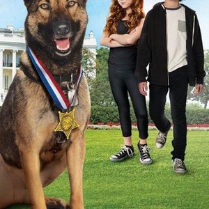 Max 2: White House Hero - Rotten Tomatoes