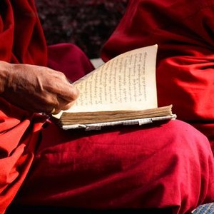 Digital Dharma - Rotten Tomatoes